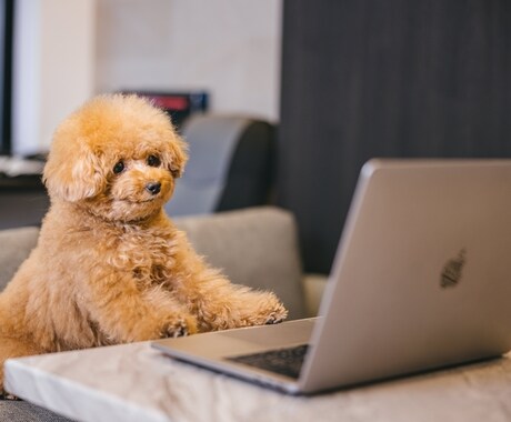 ホームページ作成・修正他ご相談ください。承ります 小さなことから、ご相談に乗ります。