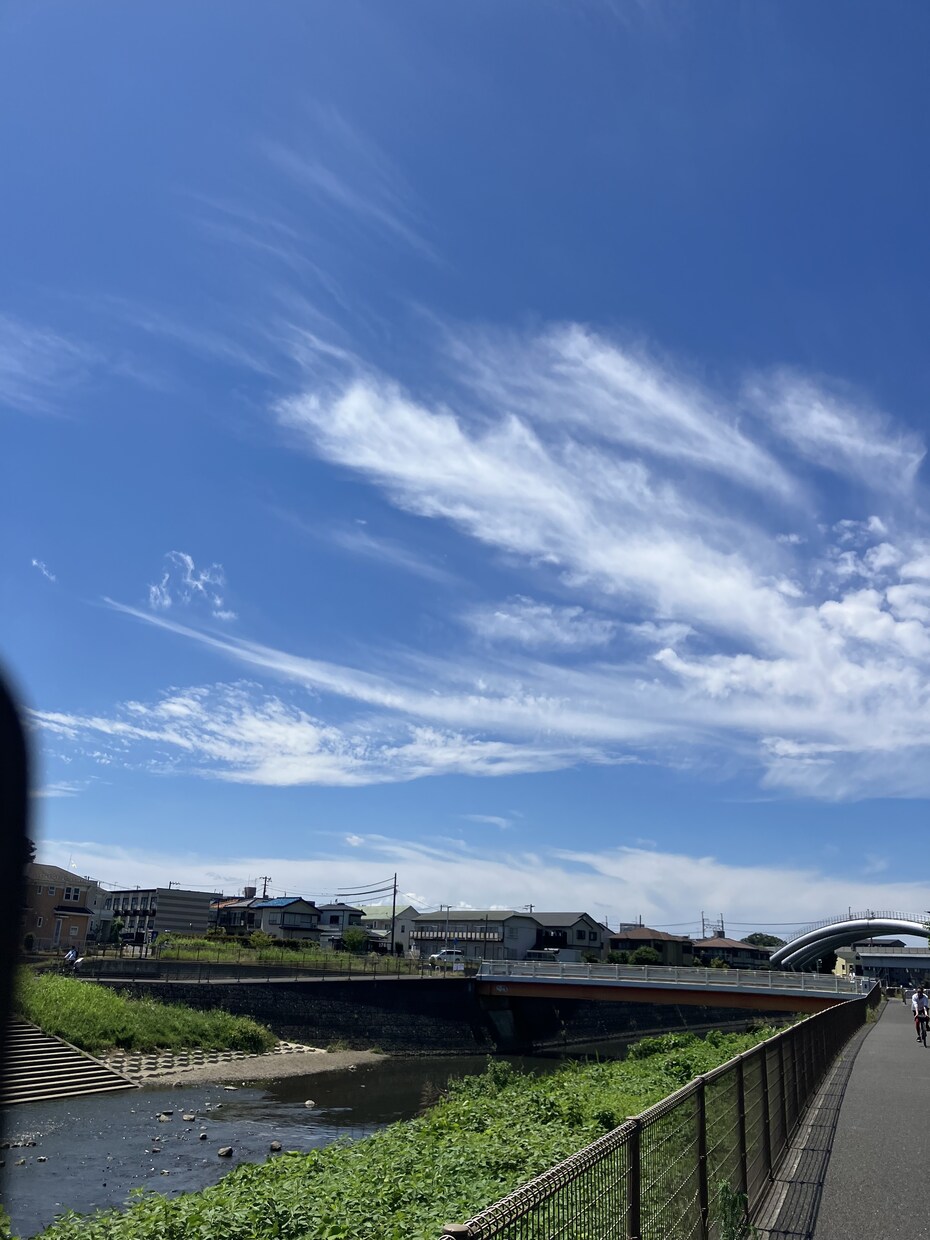 薬剤師が電話でお薬に関することや健康相談に乗ります 薬局に行かなくてもお薬相談できます。ぜひご活用ください！ | 体・健康の悩み相談 | ココナラ