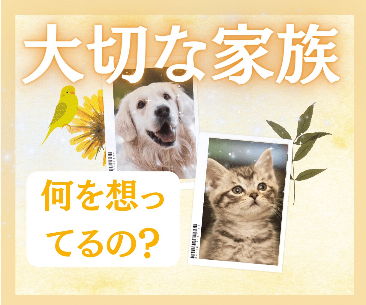 ペットがなぜあなたの元に来てくれたのか視ます 大好きなあのこに伝えてみよう 魂を繋げます