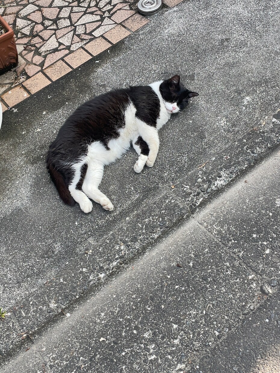 日々の悩み、愚痴、男の気持ち相談に乗ります 営業として培ってきた経験をもとに様々な相談にのります | 話し相手・愚痴聞き | ココナラ