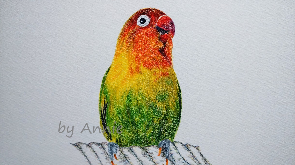 5色で描く色鉛筆画の描き方を教えます 現役アーティストが教える色鉛筆画レッスンです。