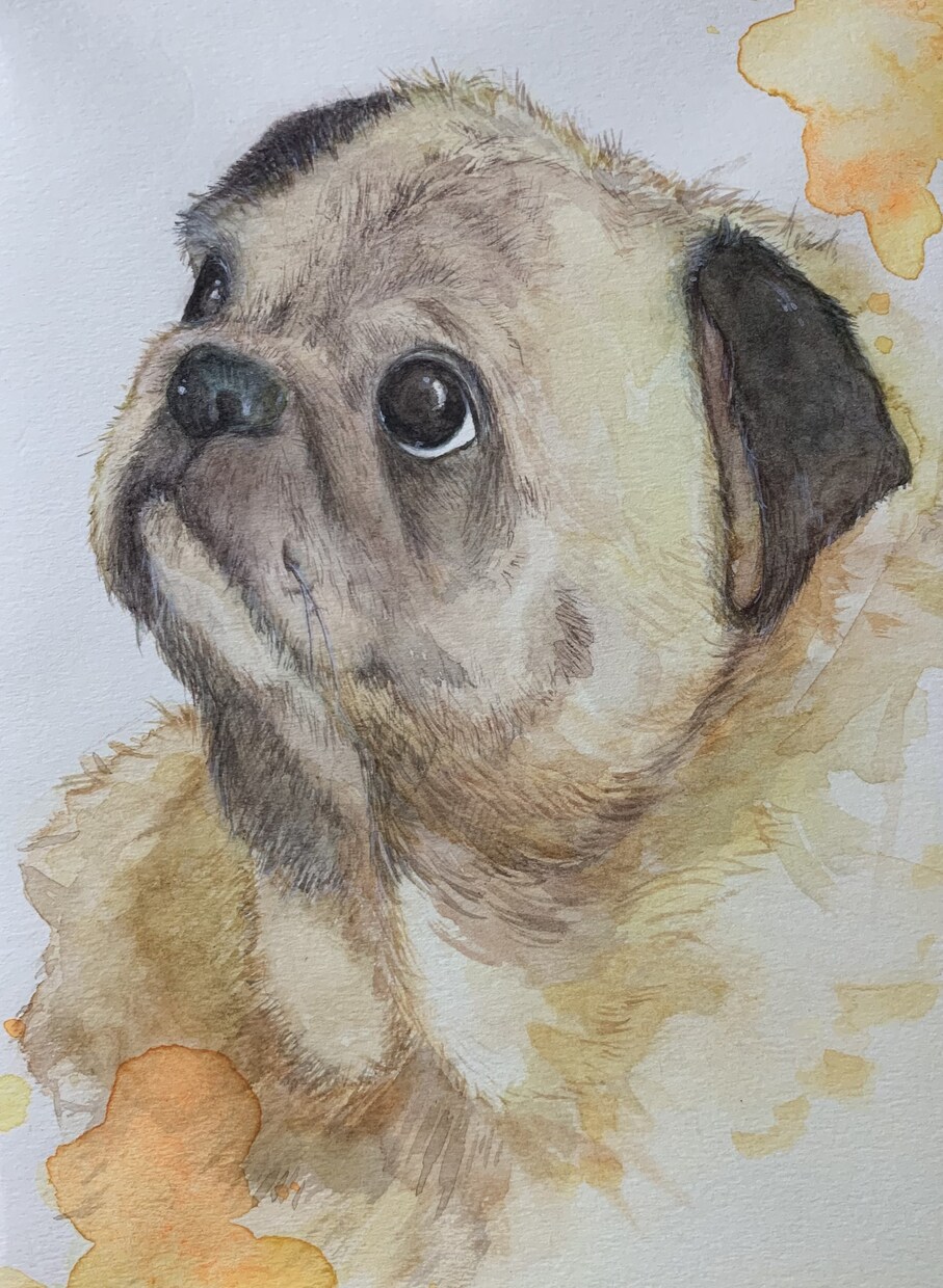 水彩画お描きします 似顔絵、ペット、お花、食べ物など、水彩画をお描きします。