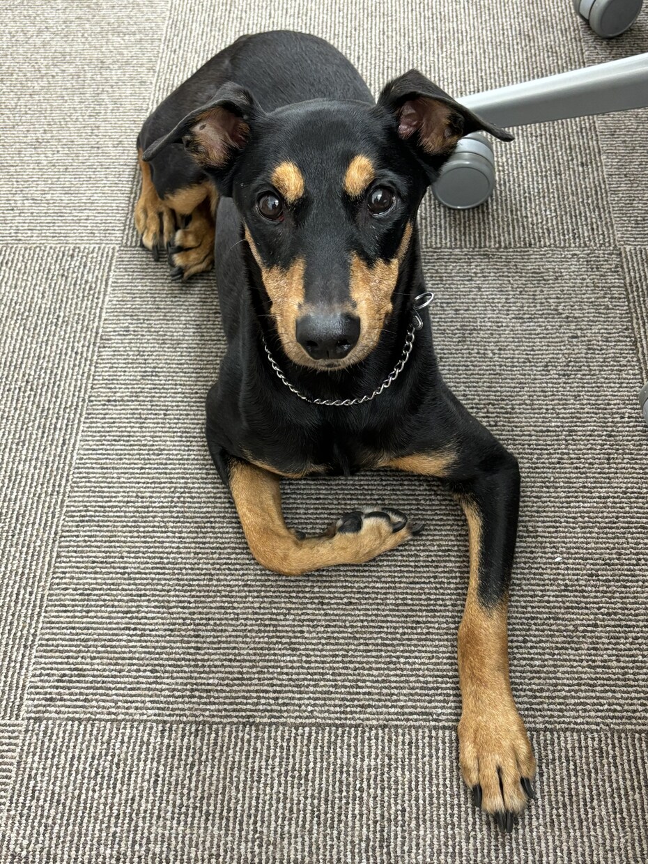 あなたのお悩み伺います 夫婦問題、親子関係、職場、親戚等、あなたの周りとの環境相談