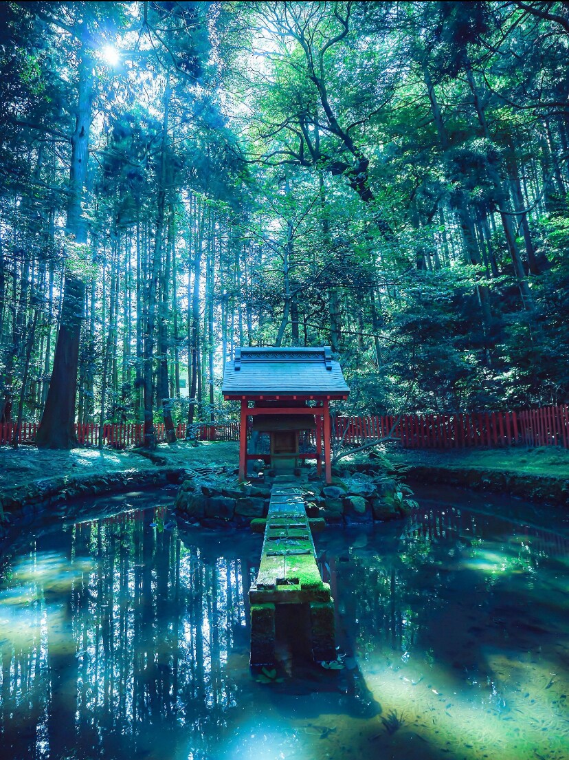 認知行動療法をわかりやすく教えます 精神病院勤務が教える認知行動療法