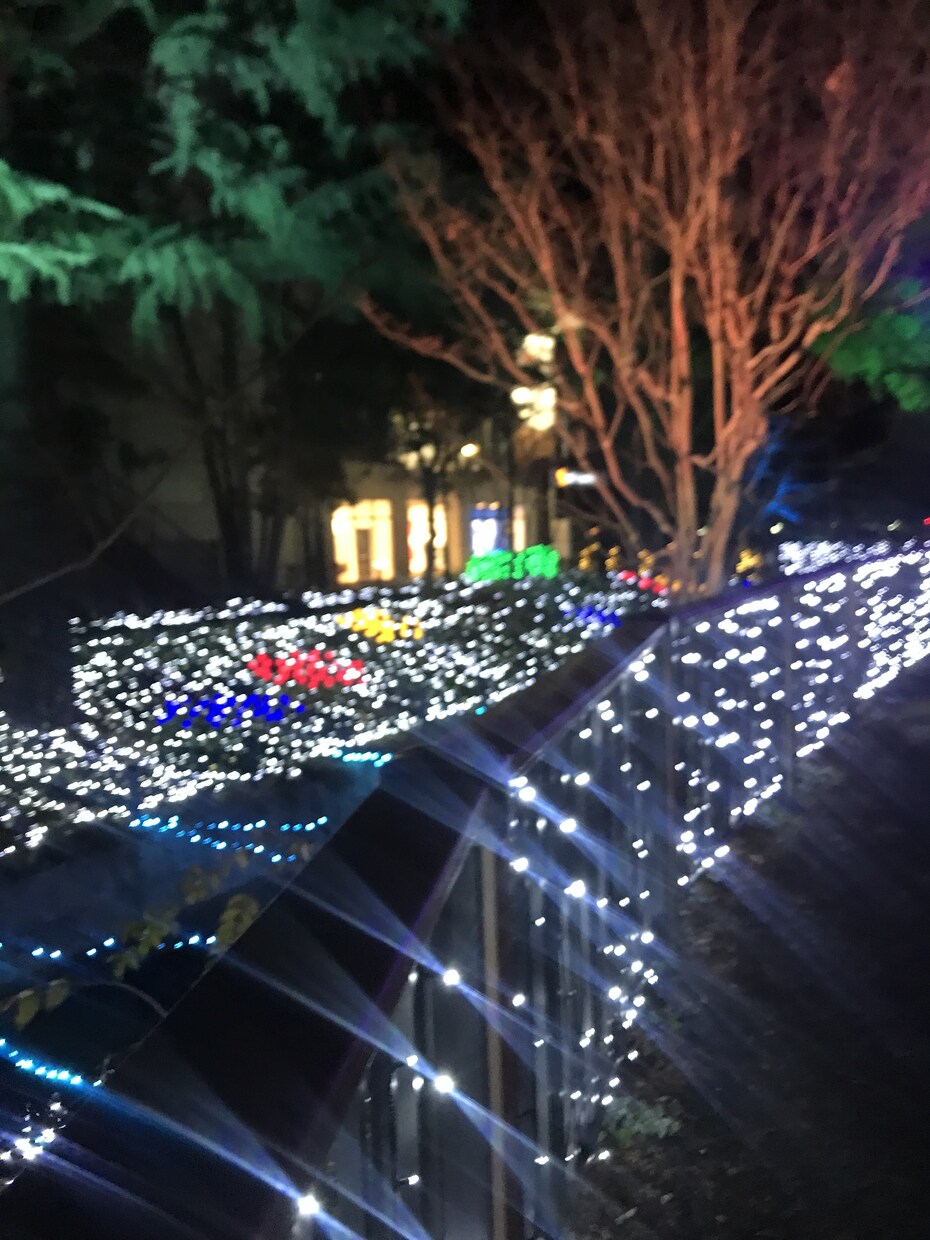 旅行や飲食店を紹介します 行きたい所、飲食店を一緒に探します