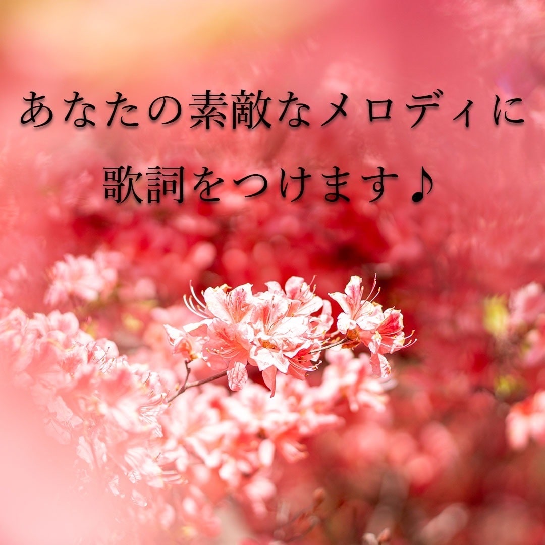 現役シンガーソングライターが作詞します 作詞実績100曲以上！あなたの世界観に寄り添って作詞します | ココナラ