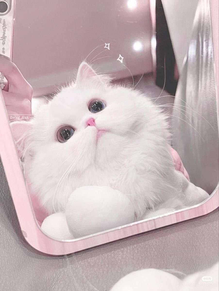 男性の支配・駆け引き・本命／遊び、相談乗ります 高身長、高学歴、高収入、イケメン、との恋愛の駆け引き得意です | ココナラ