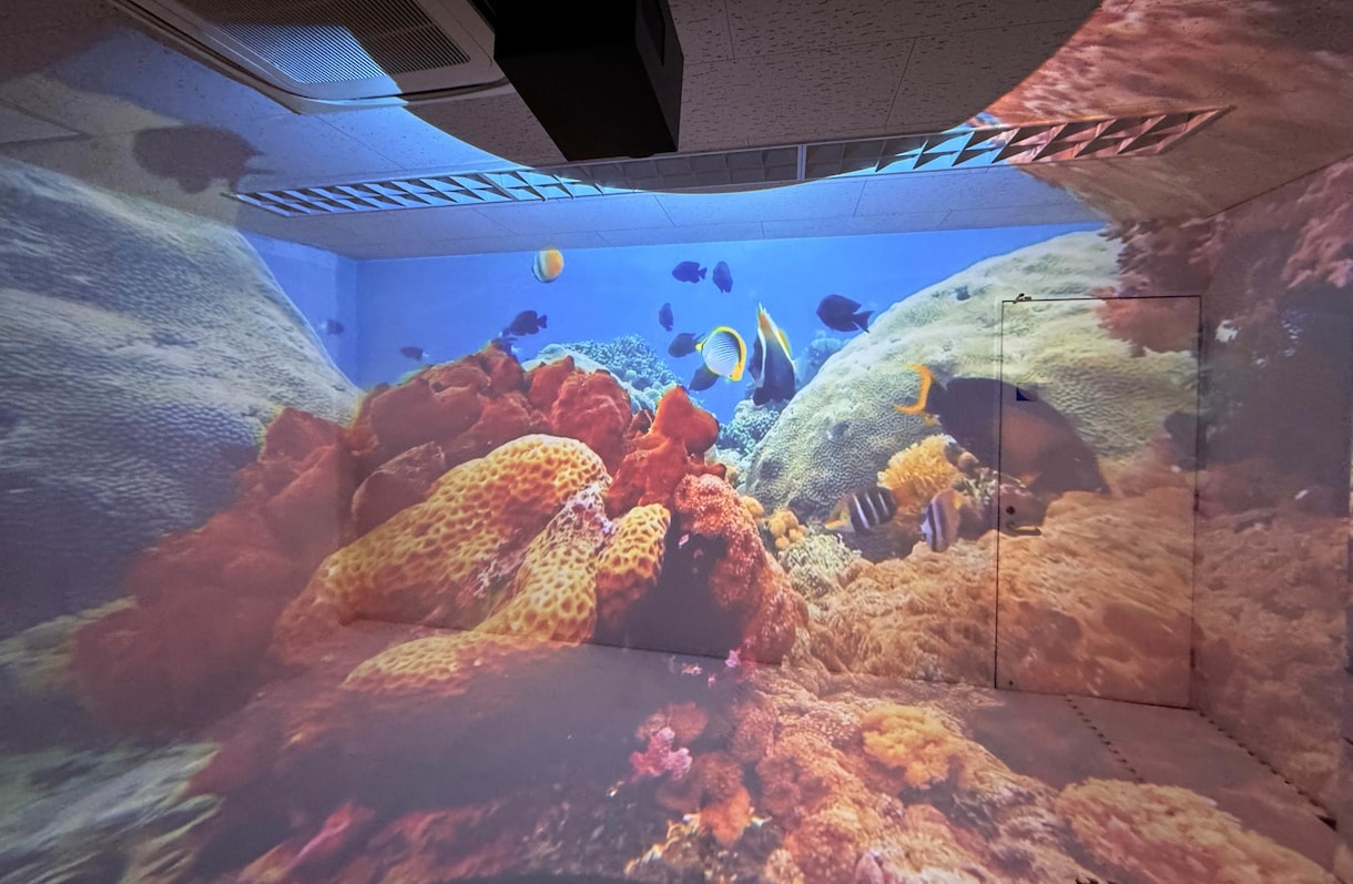 VRゴーグル不要の全員参加型VRを提案します 360°動画再生に最適なVRプロジェクターを使用したイベント