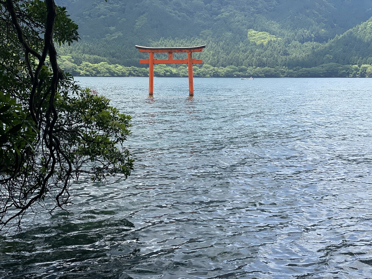 霊視メインでエネルギーを整えて願望成就に導きます 霊視、チャネリングで波動調整で恋愛成就、願望成就していきます