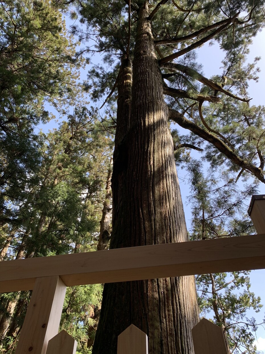 私の守護霊による霊視・浄化後ヒーリングを致します 遠隔での霊視・厄除け・厄祓い・施術後にヒーリングします。 | ココナラ