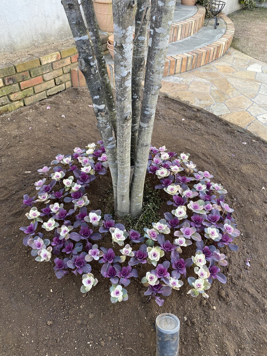 その苦しさ吐き出しませんか？あなたのお話し伺います DV.モラハラ被害経験者がお話し伺います！ | 心の悩み相談 | ココナラ