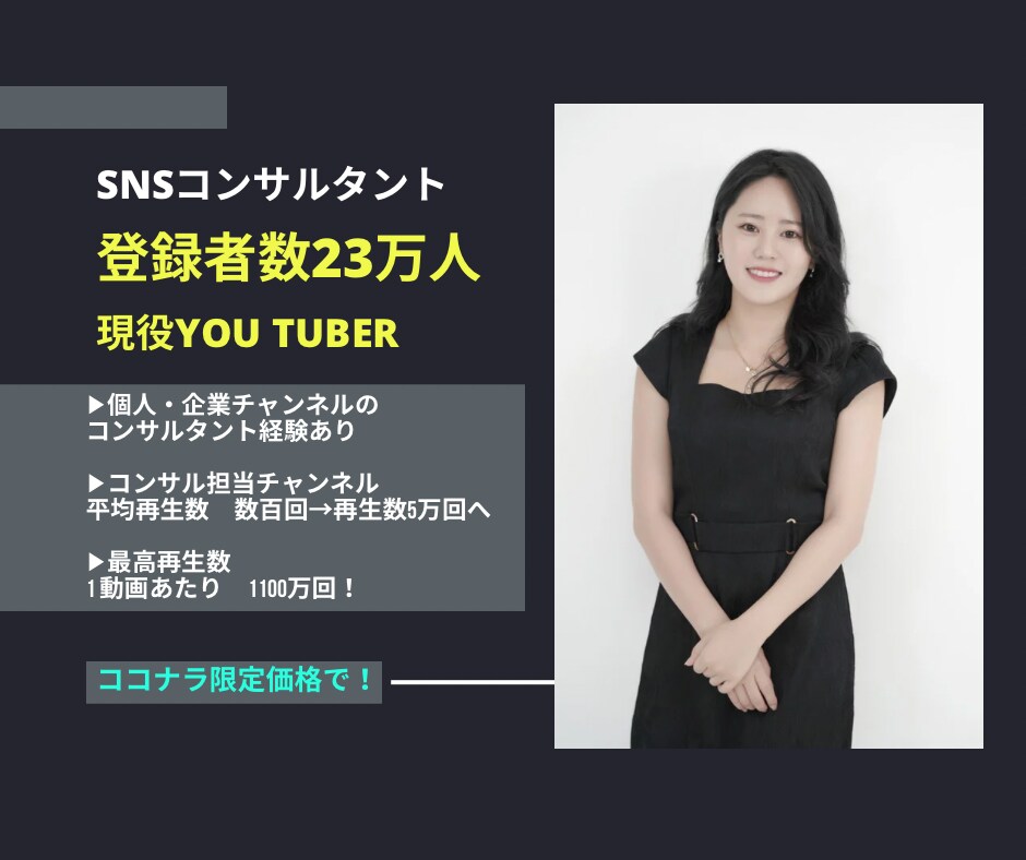 登録者23万人YouTuberがコンサルします 1動画、最高1000万回超え！