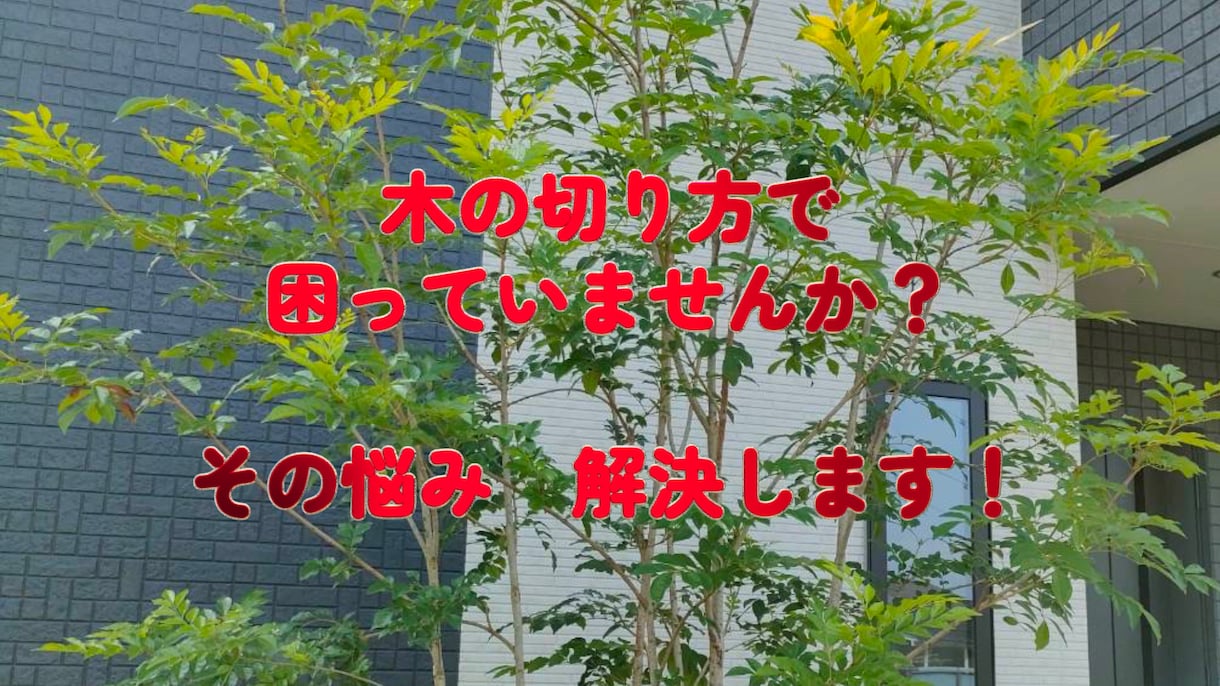 樹木の剪定方法などを教えます 現役植木職人がお庭の樹木剪定方法やNGな事をお伝えします。