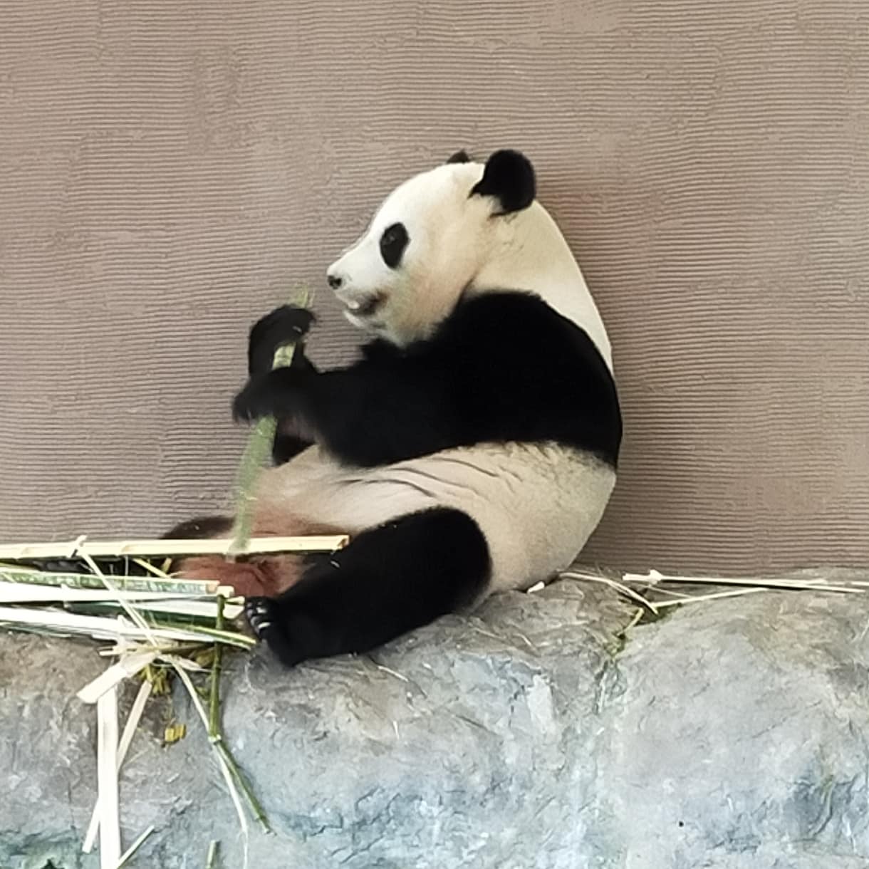 1名様限定価格1ヶ月ハッピーに生きるヒント届けます チャネリング・霊視透視・霊感・霊聴・スピリチュアルを翻訳 | ココナラ