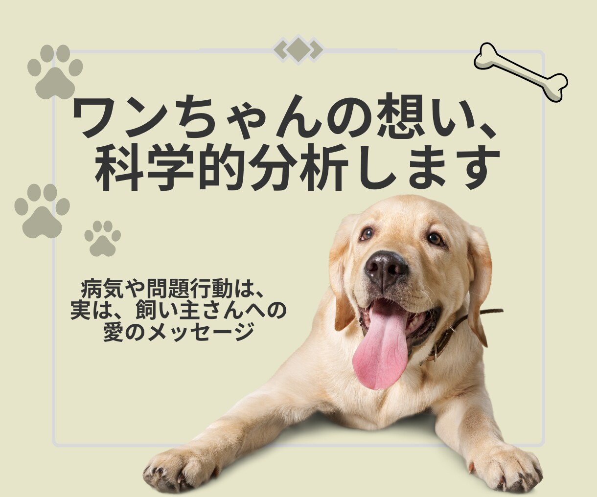 ワンちゃんの行動、症状から、メッセージが解かります アニマルコミュよりも更に深い分析で、メッセージを読み解きます