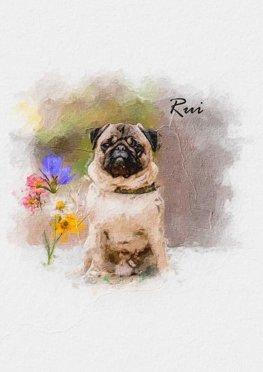 ペットの写真を即日アートにします 写真を送るだけで作成可能です！