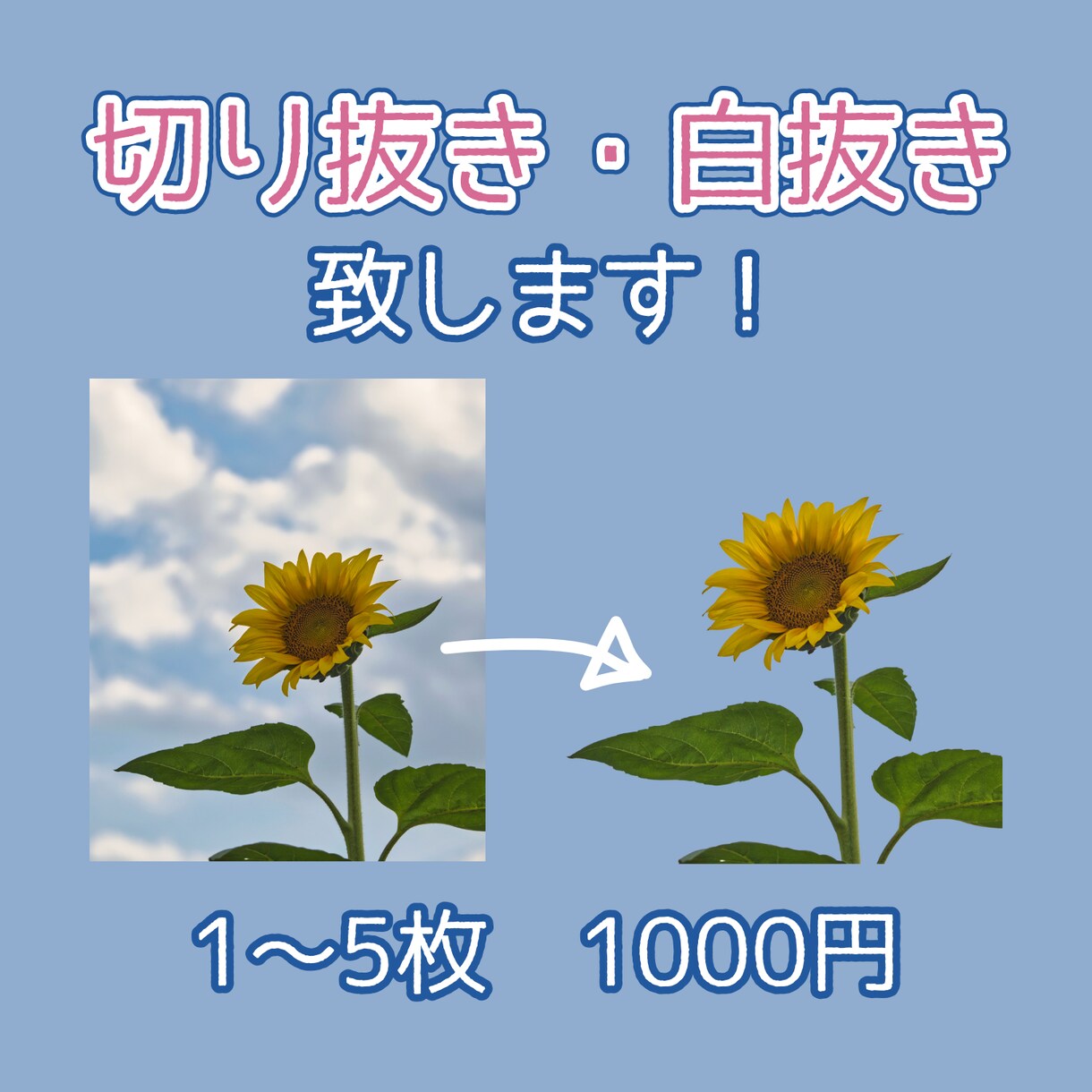 画像の切り抜き・白抜き致します 商品画像やサムネイル等に使用する画像を加工します！ | ココナラ