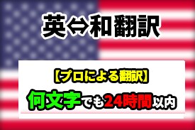 字数無制限!!最高の品質をお届けします 見たことないクオリティを24時間以内にお届け | その他（ライティング・翻訳） | ココナラ
