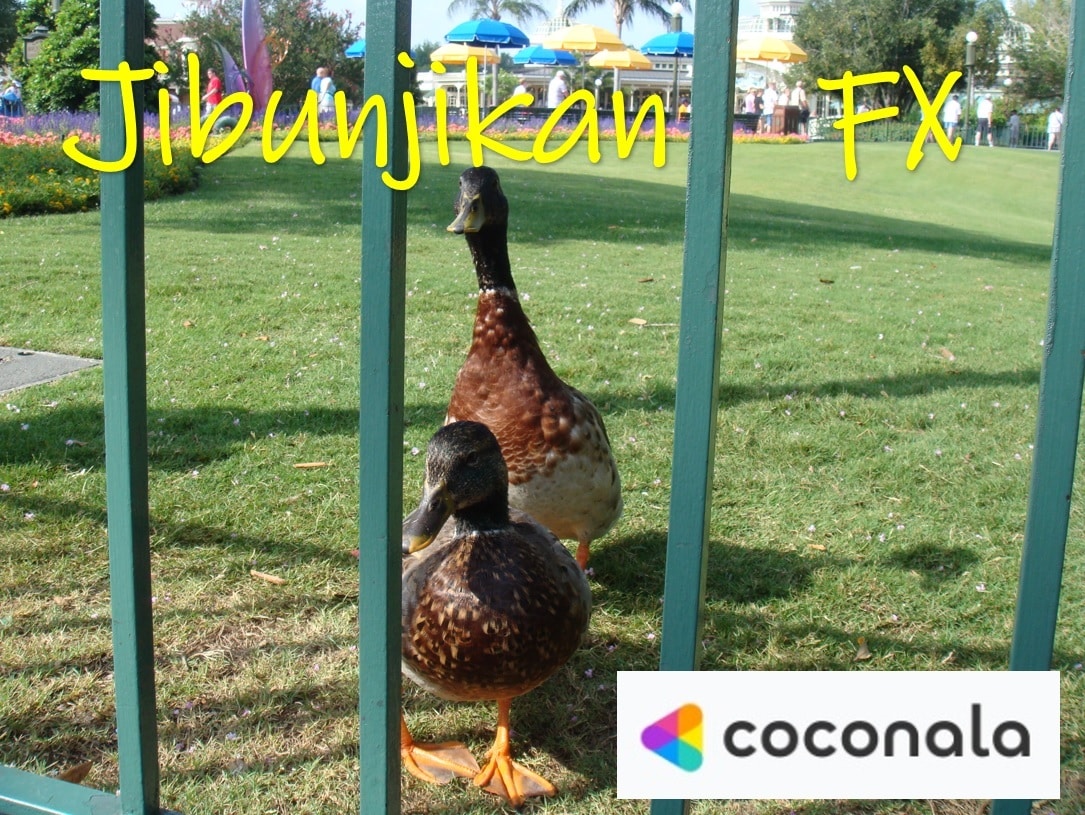 徹底個別指導 FX専業トレーダーに導きます 【いつでも何度でも！勝てるトレーダーになるまで教えます】 | FXの相談 | ココナラ