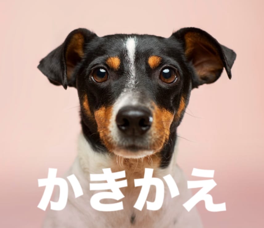 不要な無意識の思い込みを見つけて「かきかえ」ます 思考パターンを変えると現実が変わります！