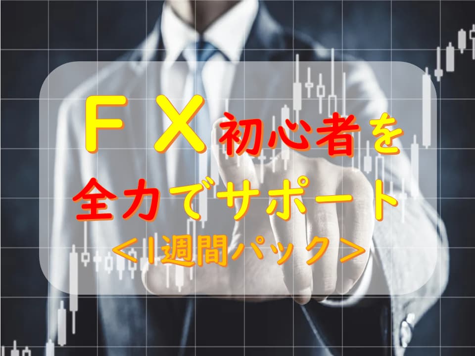 FXの教科書を用いて解説します 1週間のサポートで初心者のFXに対するハードルが下がります！ | FXの相談 | ココナラ