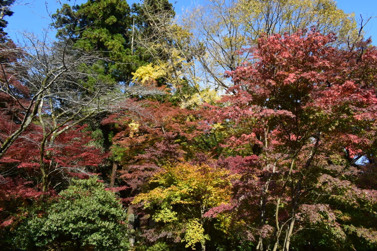 写真素材提供（風景など）します 何気ない風景の画像を提供します。