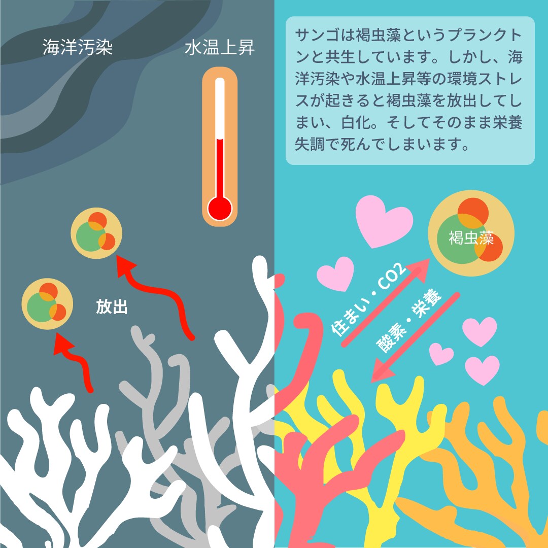 イラストの力で分かりやすく！図解を作成します 研究・企画経験者が作成！情報整理・コンセプト作成からサポート