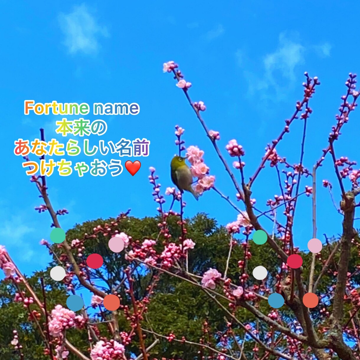 Fortune name改名・芸名を名付けます みなさまから呼ばれる『愛称』で開運へとアプローチします。 | 総合運 | ココナラ