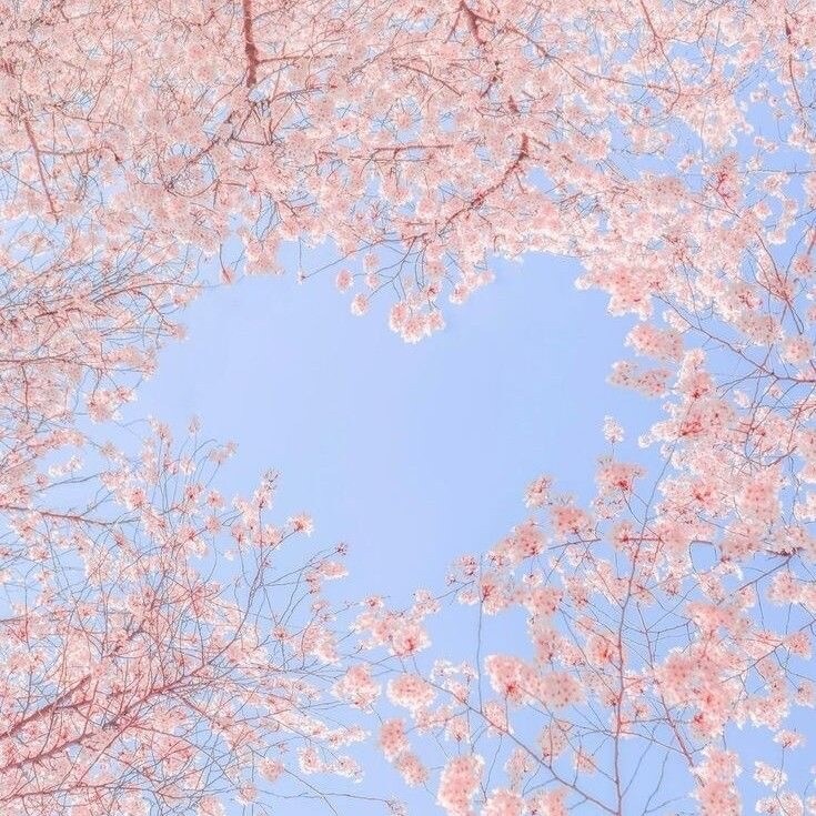 鑑定1,000字＊ワンコインでリーディングします サクサク鑑定！あなたが知りたいこと1つを簡潔にお伝えします