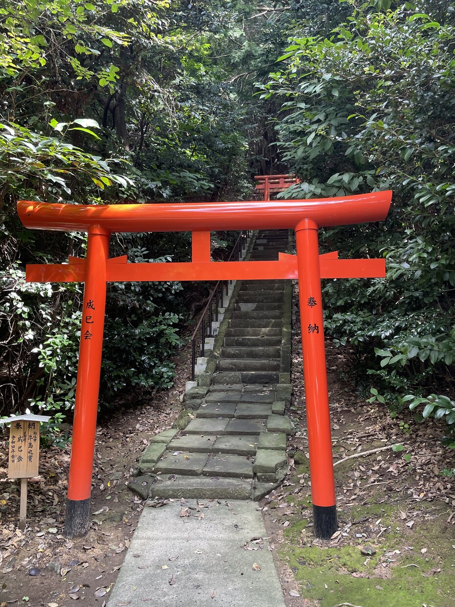 適職鑑定をします 8月限定！初回価格（25%OFF）実施中