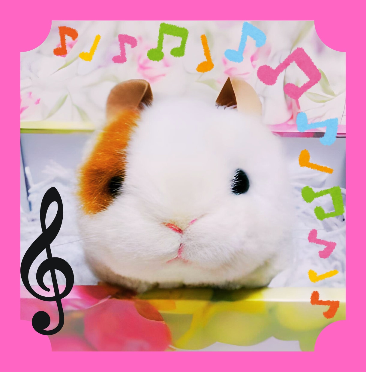 かわいらしいBGM制作します 小さな幸せを感じる音楽で、動画やイベントを可愛く彩ります！