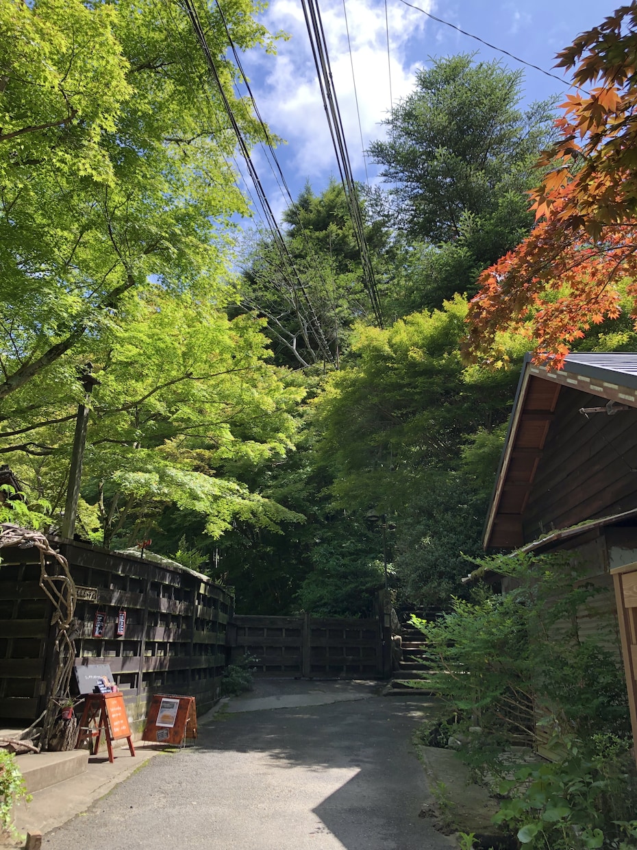 陰陽道を元に相談者に寄り添って鑑定します 占術師鑑定歴25年以上対面鑑定致しております