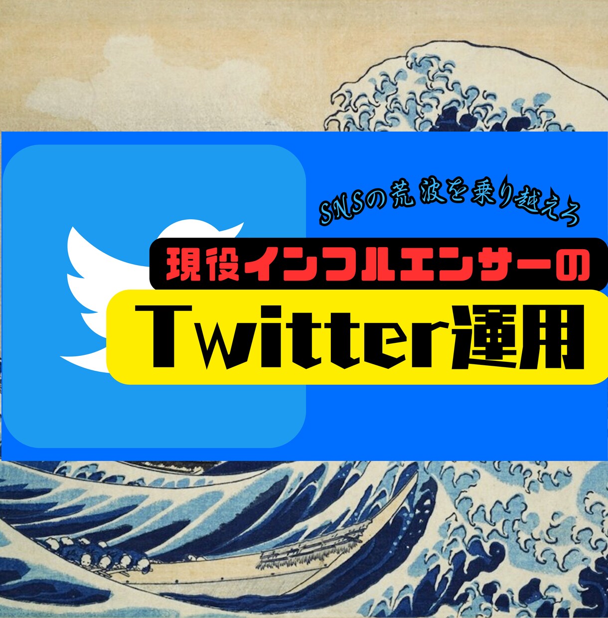 Twitter(ツイッター)1ヶ月運用します 現役インフルエンサーが完全手作業、bot無しで運用！！ | SNSマーケティング | ココナラ