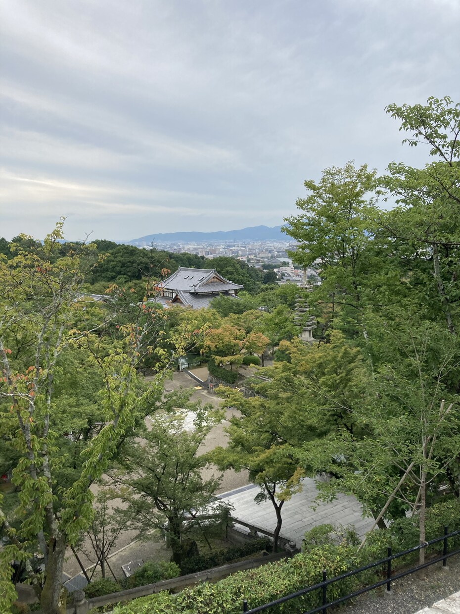 あなたのイライラ、ムカつき愚痴全て聞きます 既婚40歳サービス業20年経験、イライラムカムカ聞きます | 話し相手・愚痴聞き | ココナラ