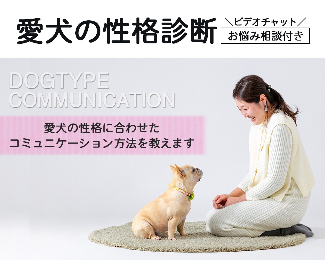ドッグタイプコミュニケーション愛犬の性格診断します 愛犬に伝わりやすい指示の出し方、必要なしつけがわかります