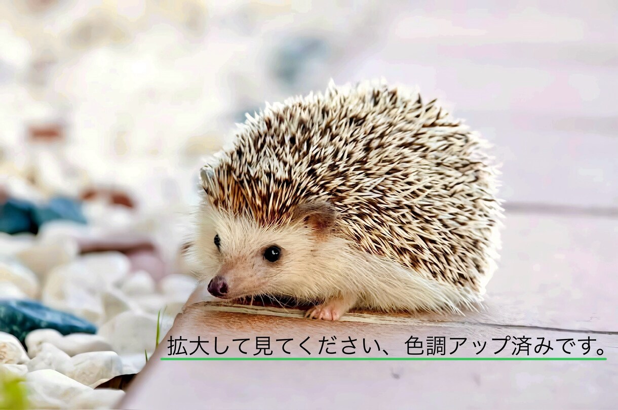 写真とイラストデータの画質&色彩感をアップします 色あせがあったり画質が悪い画像でも綺麗に復元します。