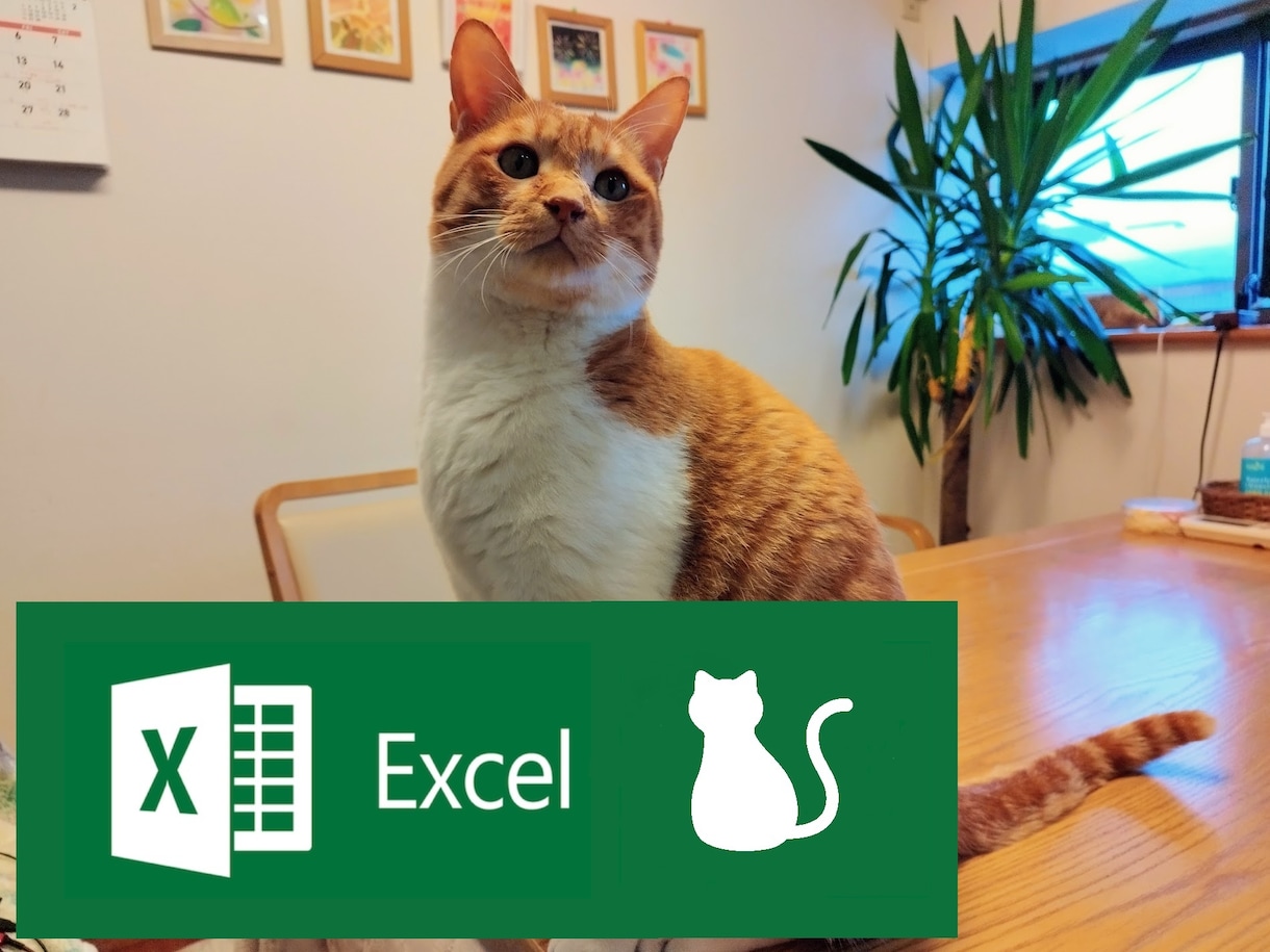 EXCEL・マクロ・シフト表・グラフ作成します EXCEL/PDF/vba/シフト表/野菜の集計の自動化等 | 作業自動化・効率化 | ココナラ