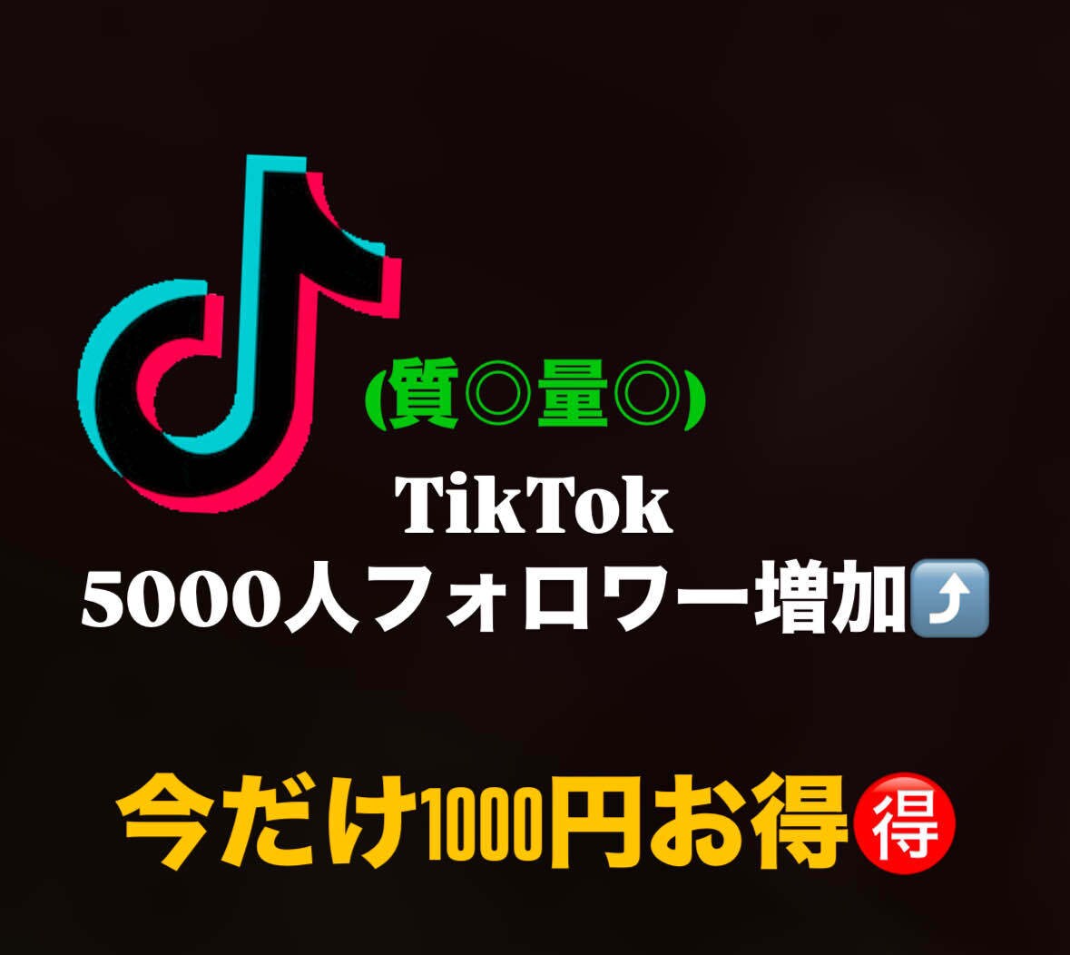 質 量 SNS 5000フォロワー売ります TikTokフォロワーを増やします！