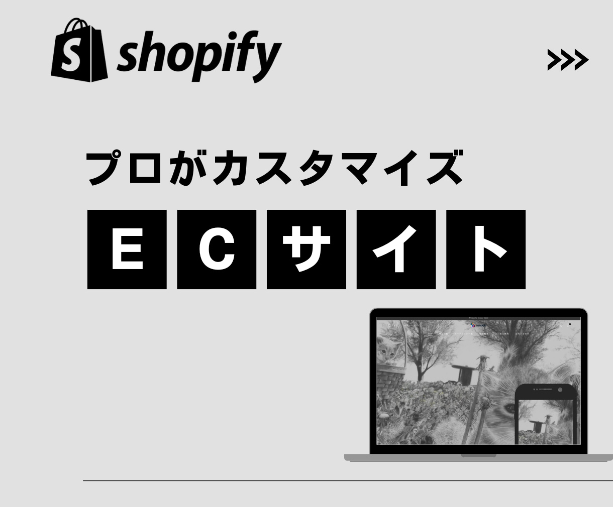 Shopifyの専門家がカスタマイズいたします Shopifyでお困りのことについて改善策をご提案致します | ココナラ