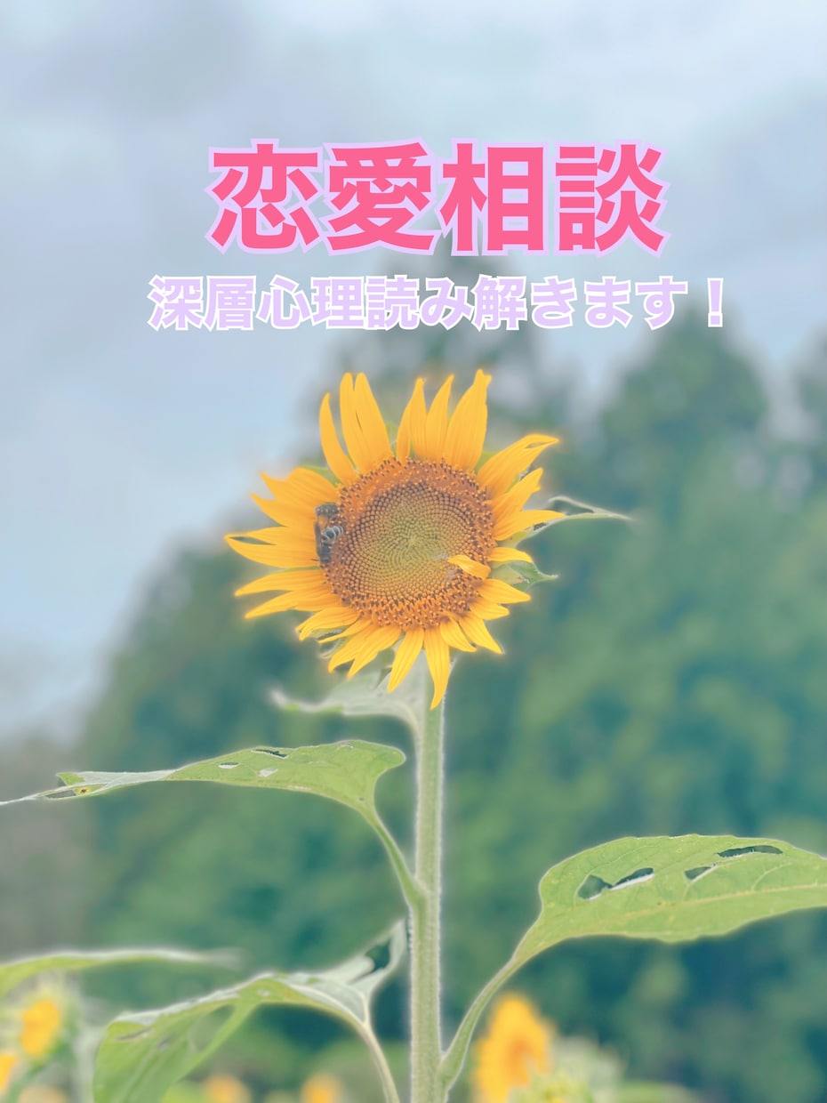 行動心理【恋愛相談】お相手の深層心理読み解きます どう思ってるの?の疑問を解決!お相手の気持ちを覗き見♪