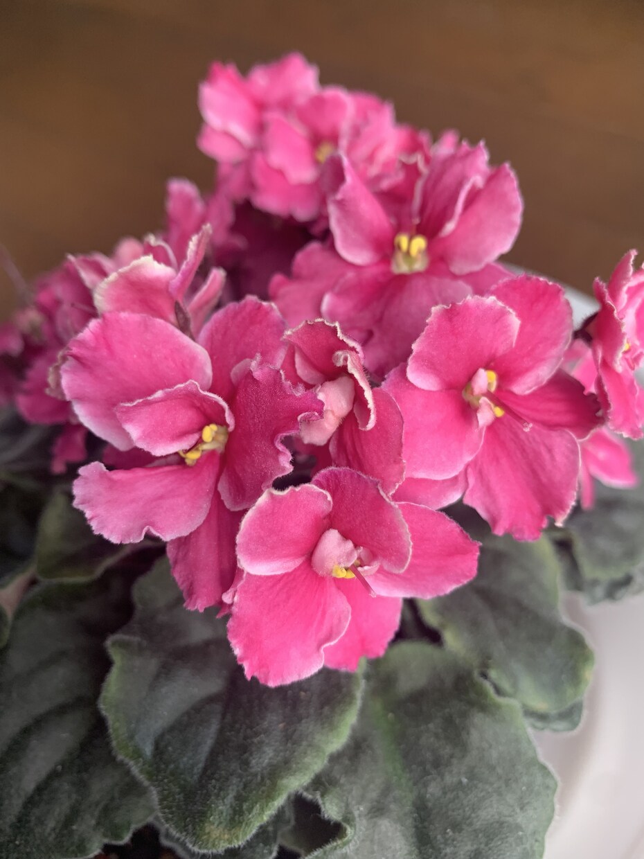 貴方の心の悩みに寄り添いたいと思います 一人一人に真剣に向き合いますので宜しくお願いします | ココナラ