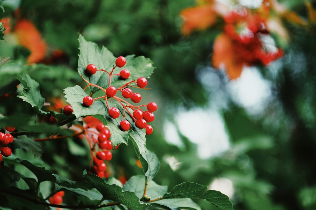 きいてよkanoさん、お悩み聞きます 傾聴サービスですお悩みを聞きます占いではありません