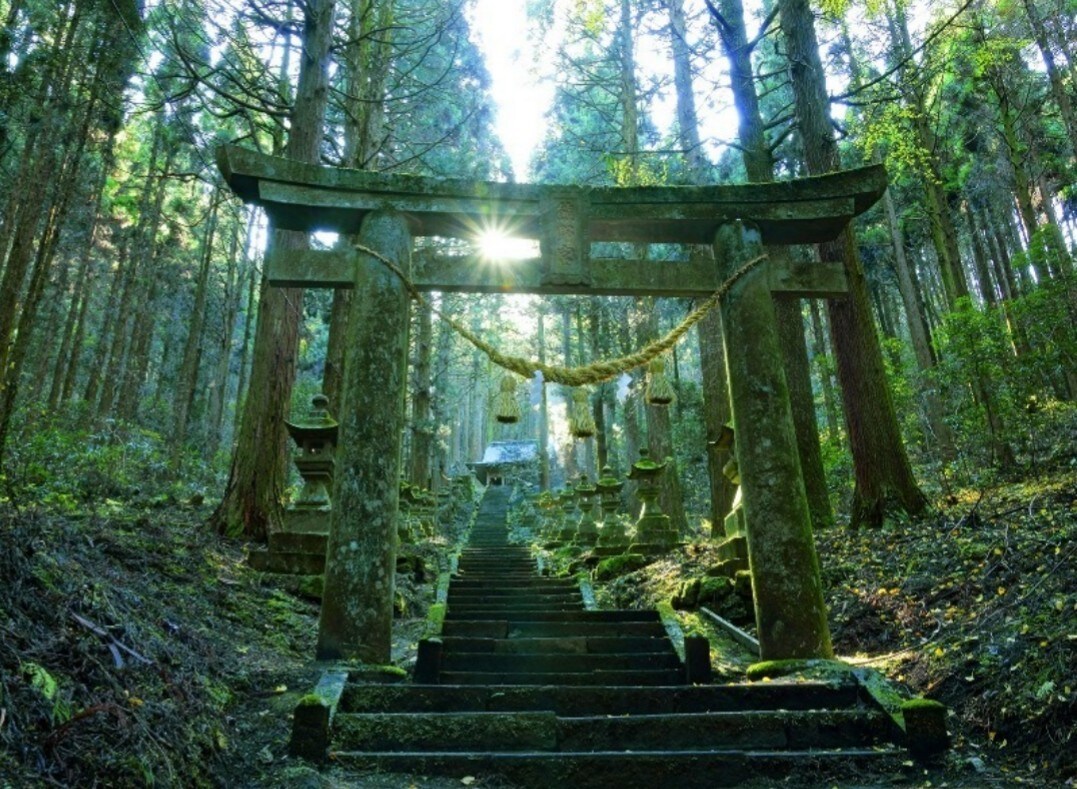 守護霊様、ご先祖様のメッセージをお届けします 悩みから脱出する手助けが出来ましたら幸いです。