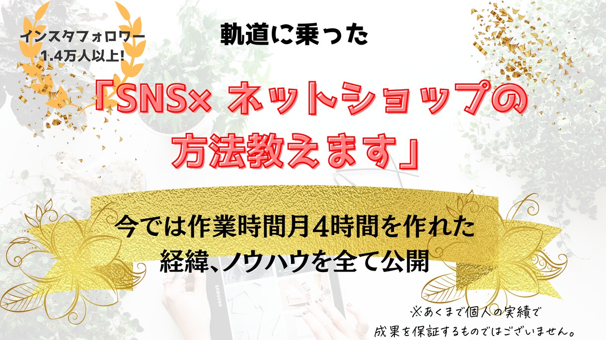 SNS×ネットショップの方法教えます SNS×ネットショップ インスタフォロワー1.4万人 | 物販・転売の相談 | ココナラ