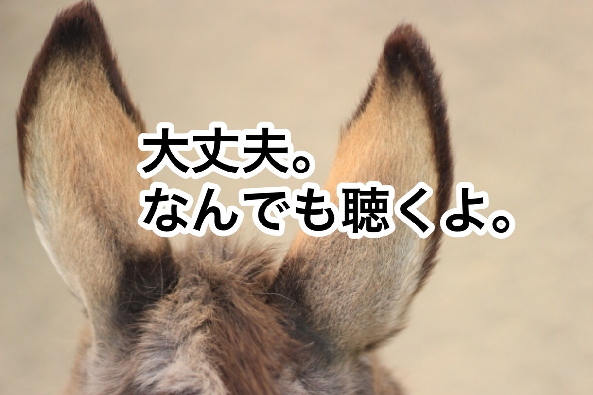モヤモヤを吐き出せる「ロバの耳」になります 軽いモヤっも重い心も吐き出して「ホっ*^o^~」としましょ！ | ココナラ
