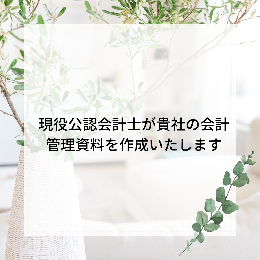 公認会計士が会計の社内管理資料を作成します 会計に関するエクセルファイルを作成いたします