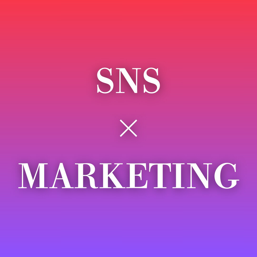 SNSマーケティング・運用の壁打ちをします プロのSNS戦略・マーケティングリサーチ関連アドバイス