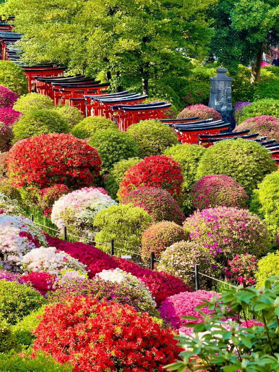 かんたん動画撮影×SNSを楽しむお手伝いをします スマホひとつでできる新しい趣味、始めませんか？