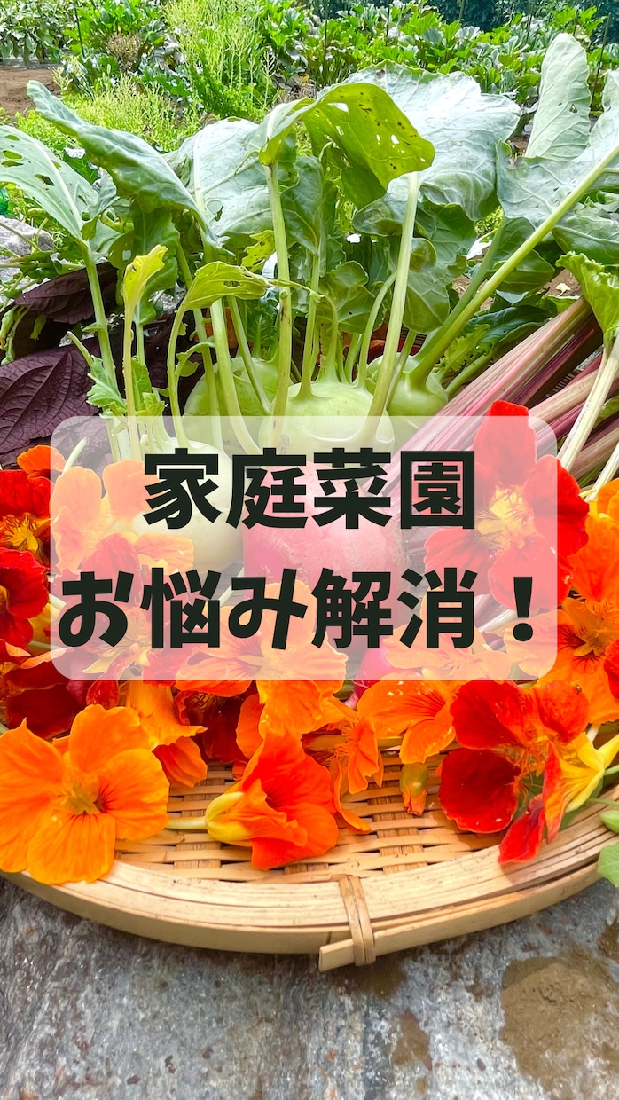 家庭菜園のコツお伝え・お悩み相談！承ります 160坪！の畑での菜園生活での経験を活かしてお手伝いします！ | その他（住まい・美容・生活・趣味 ...