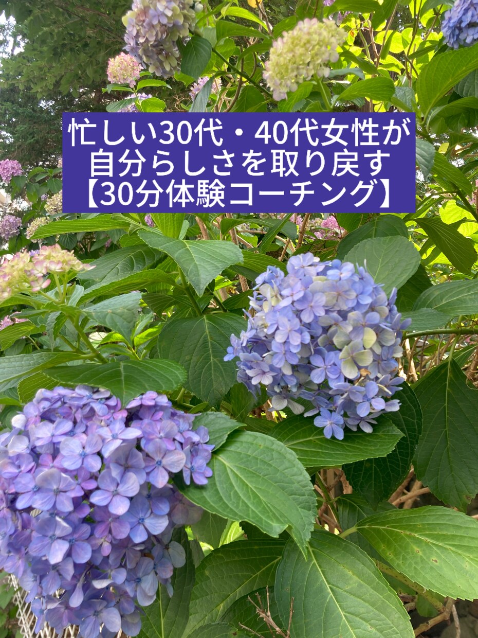 迷いを整理し、自分らしさを取り戻すお手伝いをます 自分らしさを取り戻す！【30分体験コーチング】